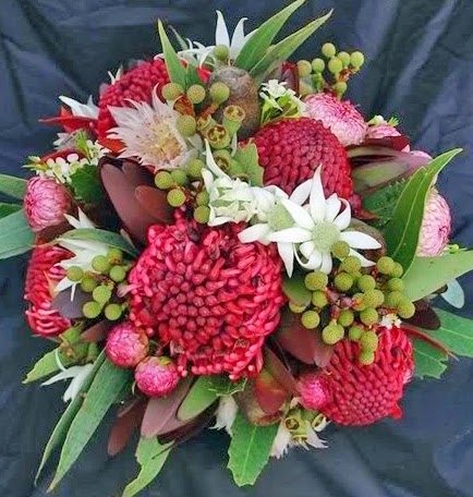 A Passion for Flowers: Spring Beauty: Wonderful Waratah and Beautiful ...