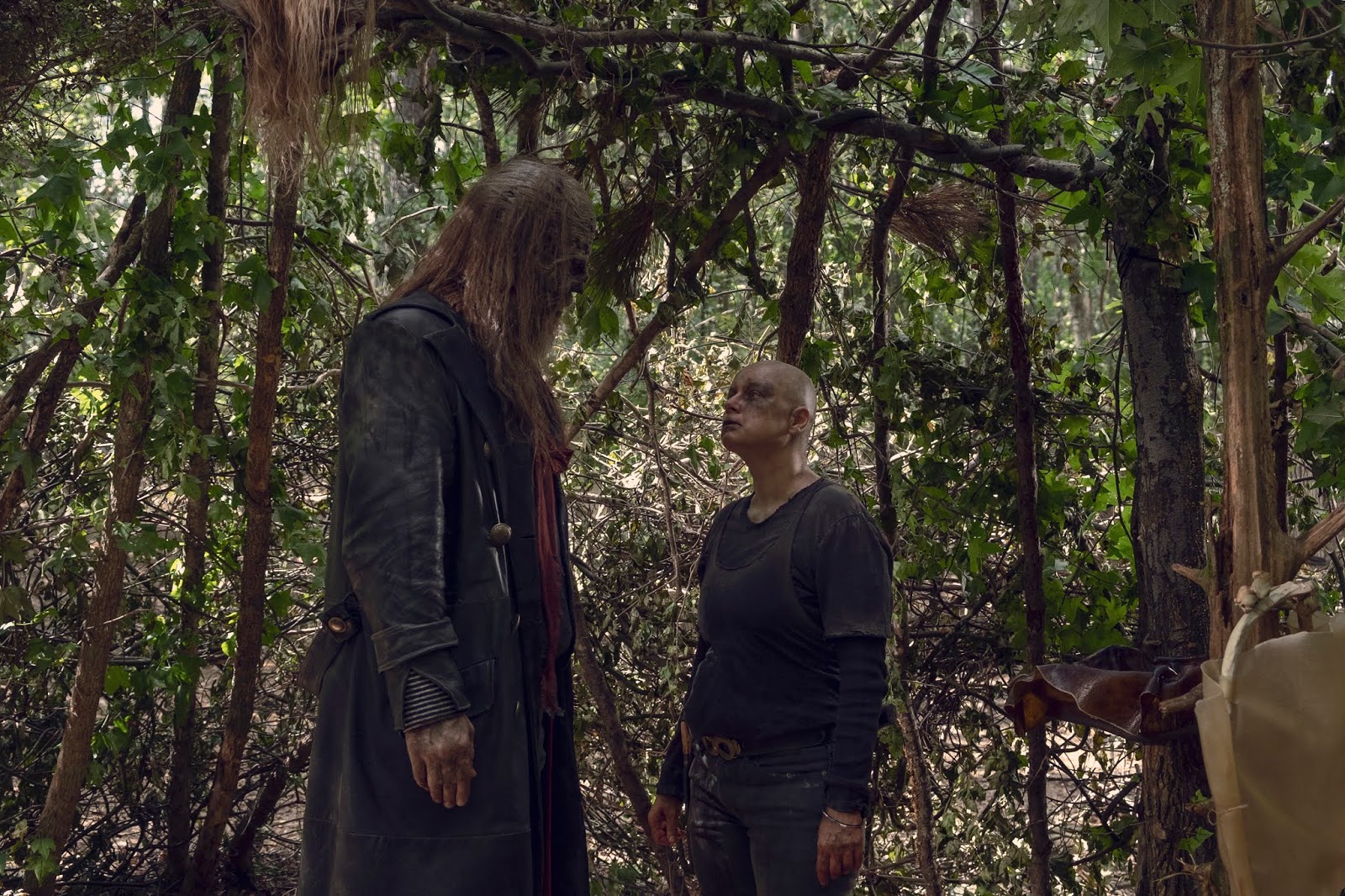 Derf's Domain: Saturday Showcase: Beta (the Walking Dead)