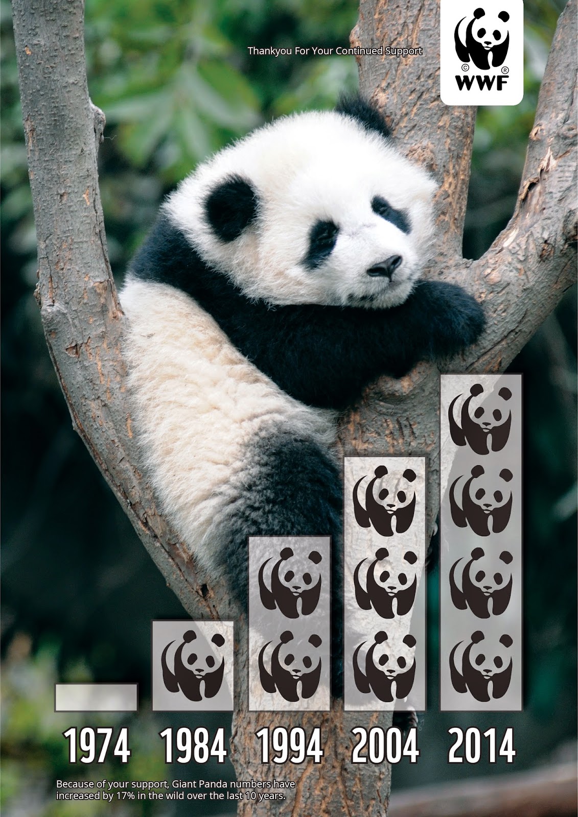 Matthew Brewer - Design Context L5: Positive WWF Campaign Posters