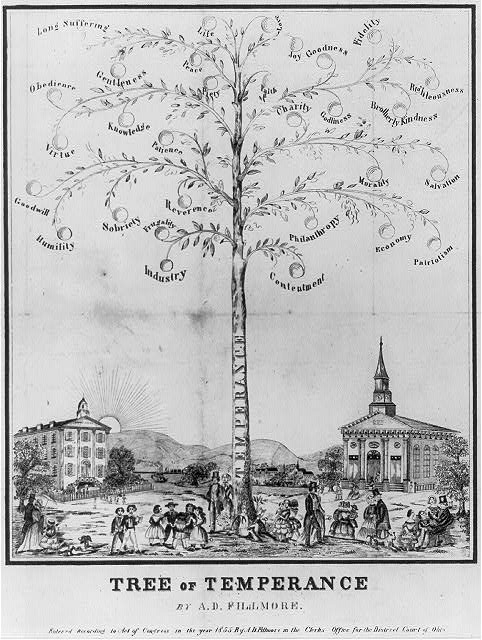 History 120: Module #1 - The Temperance Movement