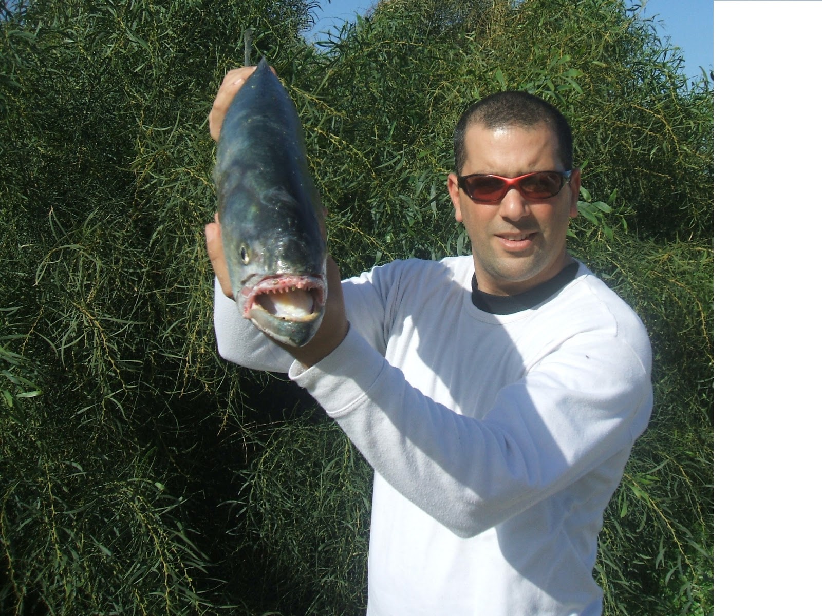 SALTWATER SPINNING IN ISRAEL: CRAZY FISH