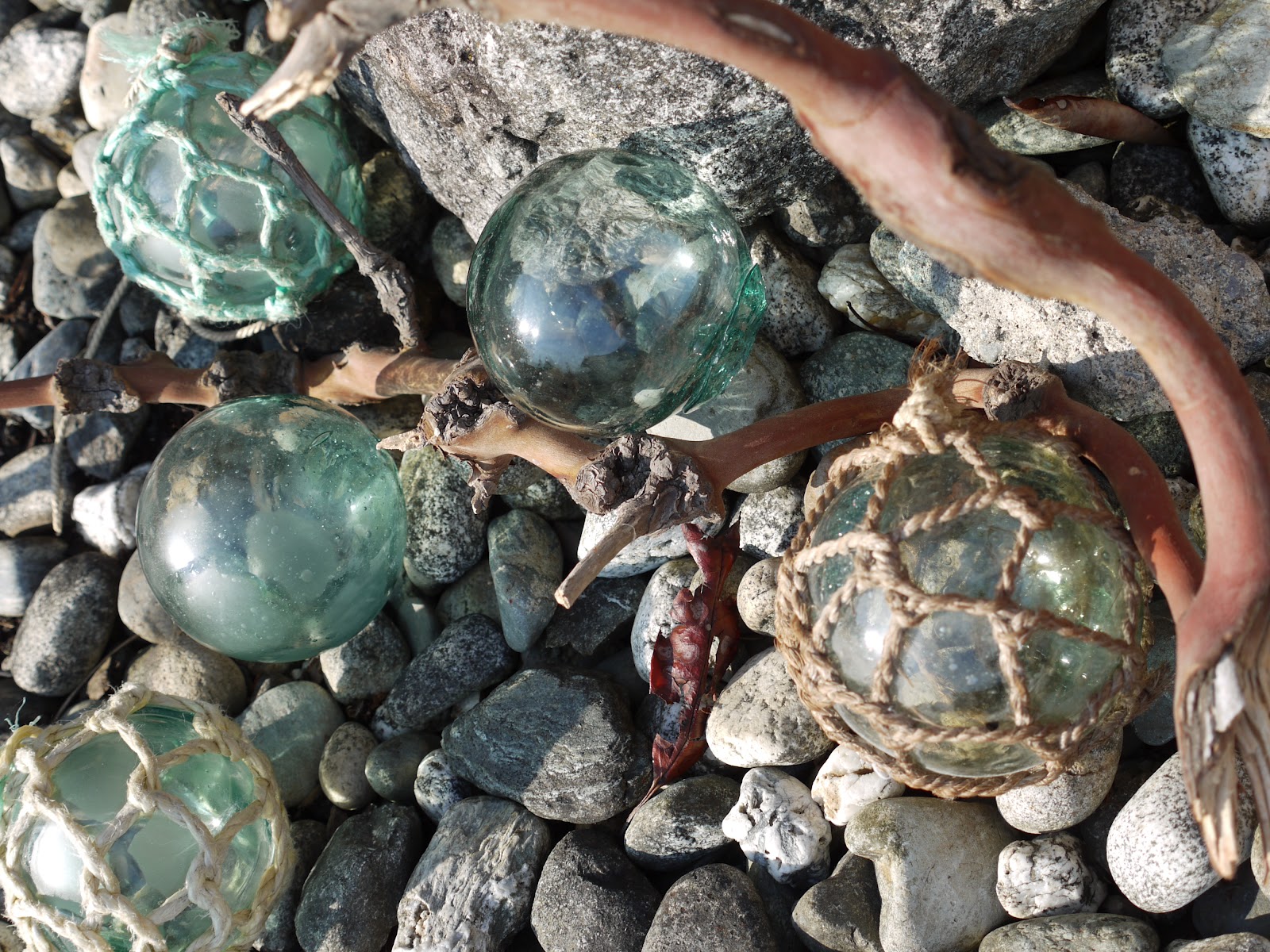 Sun Breaks: Sea Treasures