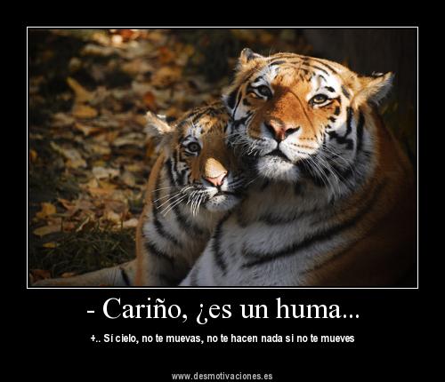 Desmotivaciones.com graciosas - Imagui