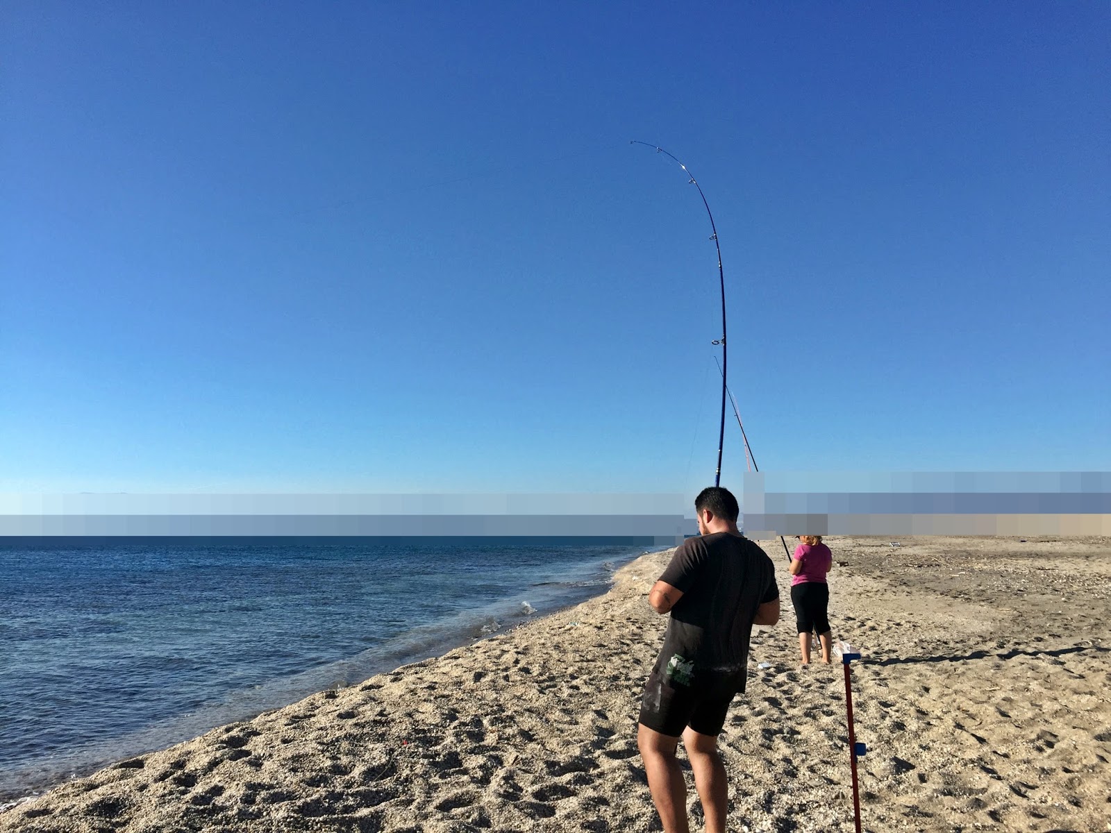 Jose Gálvez: Pez Ballesta-Cochino o Tambor
