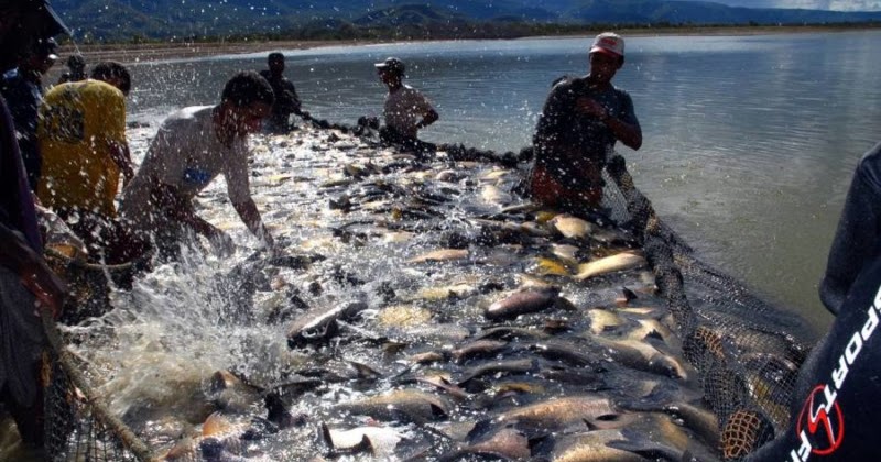 Centro Acadêmico de Engenharia de Pesca : SECRETARIA ESPECIAL DE ...