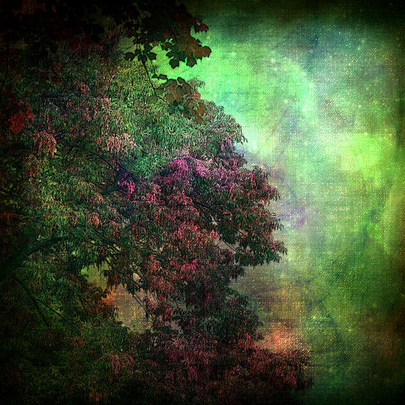 best photos 2 share: Moonlight pictures of nature photography