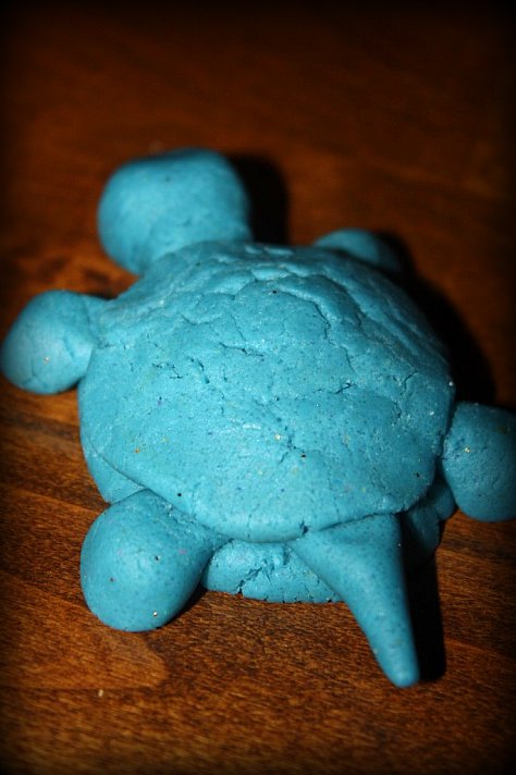 Juise: Make a Turtle!