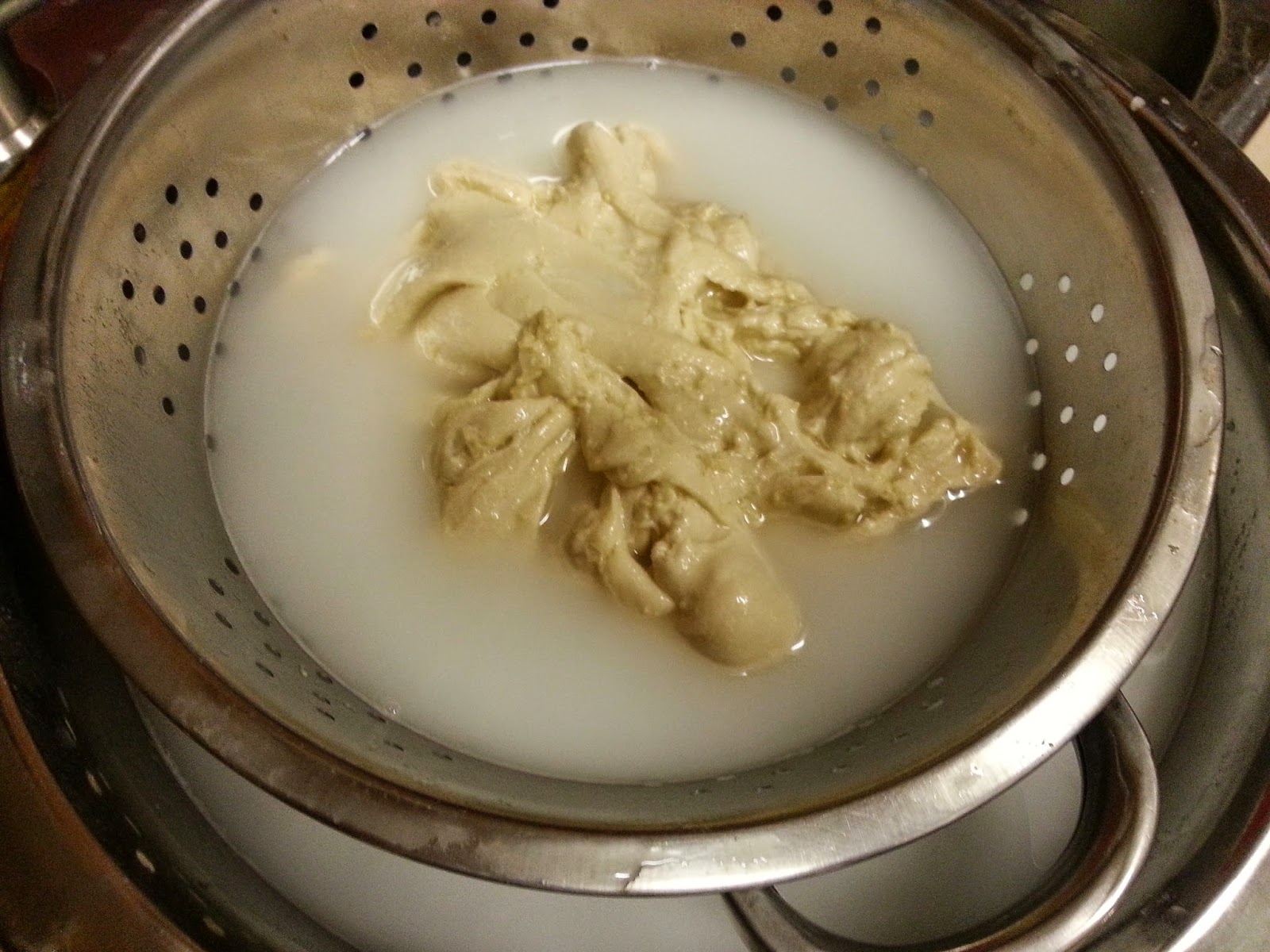 Pat's Kitchen Journal: CNY Buddhists Delight ( mock meat)