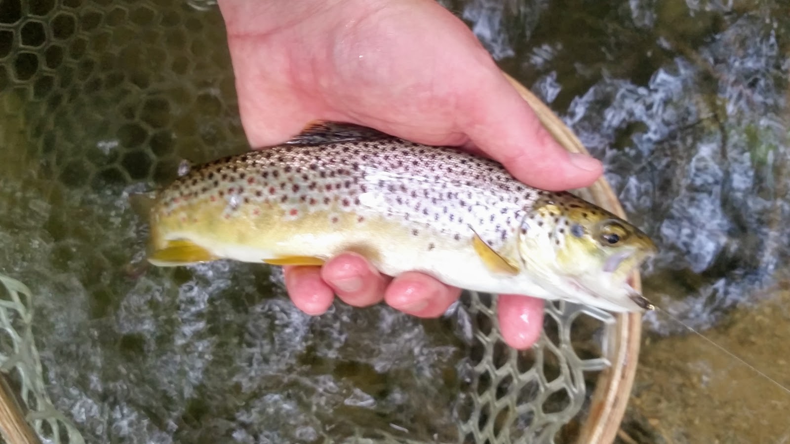 Sick Days Fishing: September 7, 2018 – Perspiration at the Intergluteal ...