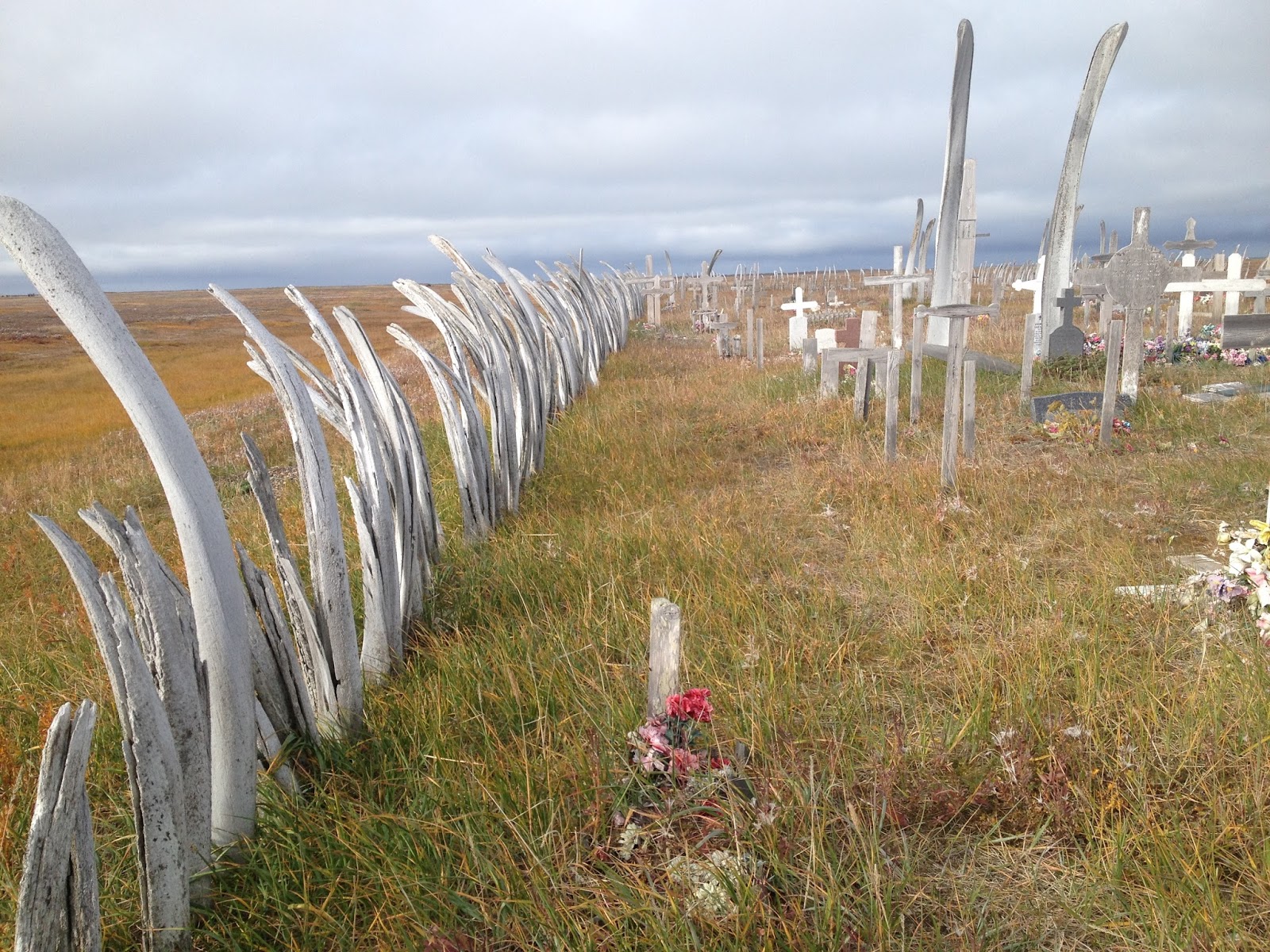 Juneau, AK, The Long Winter: Tikigaq Village Cemetary. Whale Bone fence ...