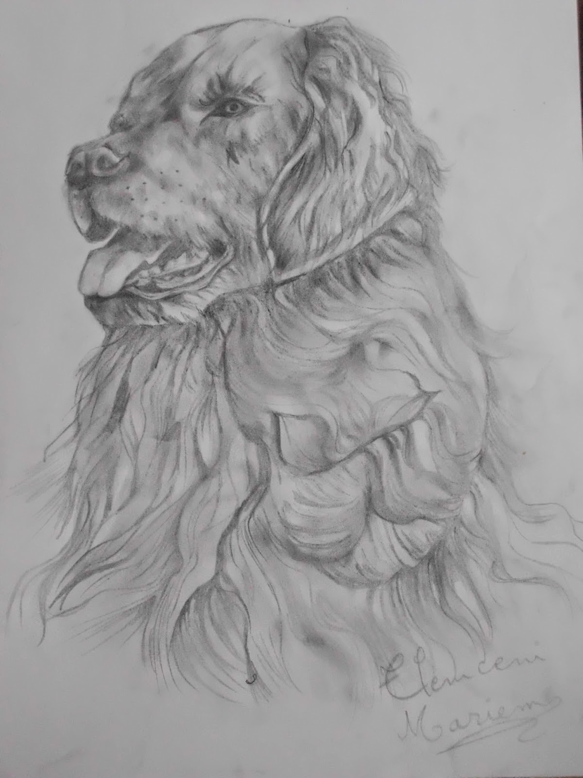 Hey It's Mirmar !: Dessiner en crayons