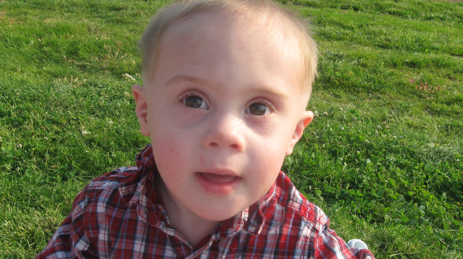 The Ups & Down (syndrome) of the Allred Family: Jacob @ 23 Months