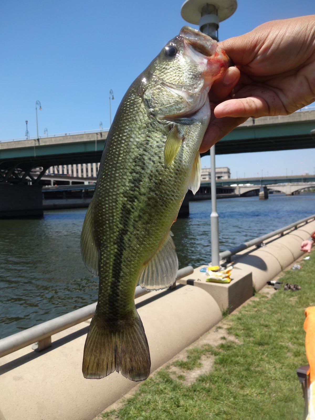 Extreme Philly Fishing: June Fishing Sessions (Last Update: COMPLETE)