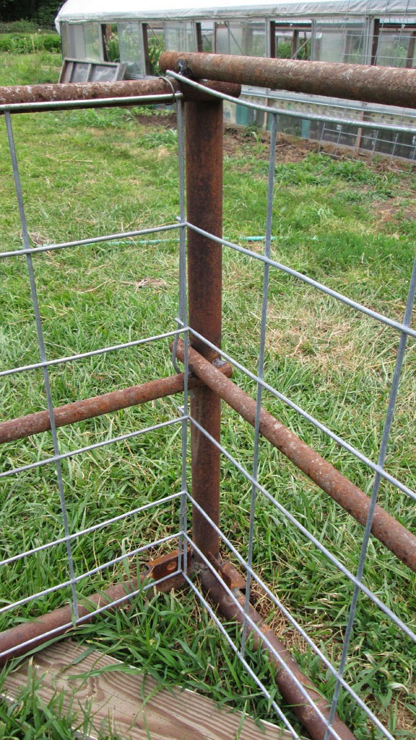 Adventures of a Middle Creek Road truck farmer: I Built a Pig Tractor