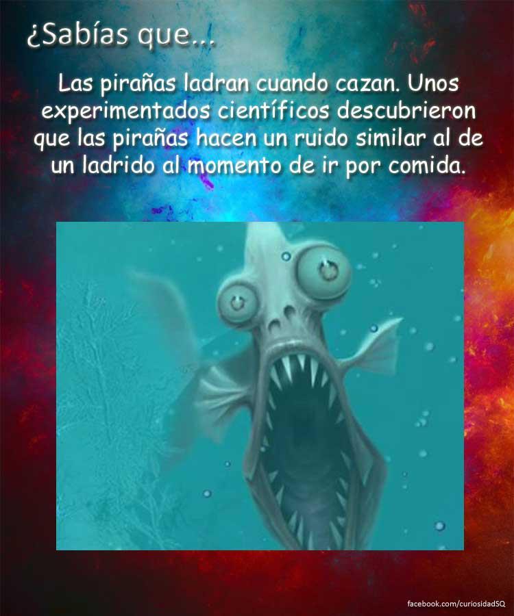 439 Curiosidades del mundo que deberías saber - Funeek ~ Aquí te ...