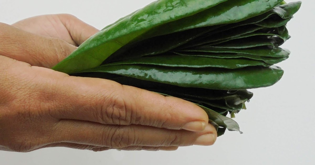 To Captain Dan කැප්ටන් ඩෑන් මහතා වෙත ~ Wal Katha Web - Wal Katha | Wal ...