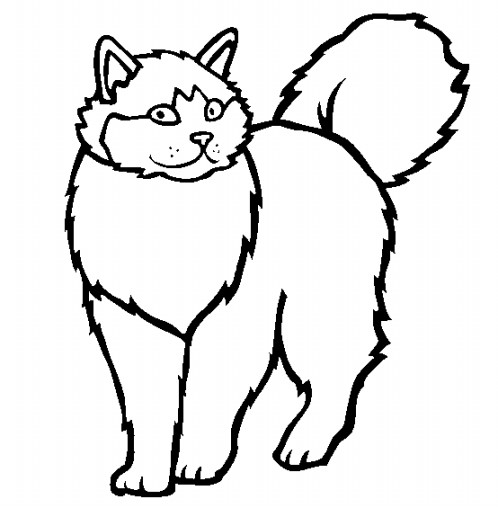 Gambar Mewarnai Kucing Terbaru Gambarcoloring | Images and Photos finder