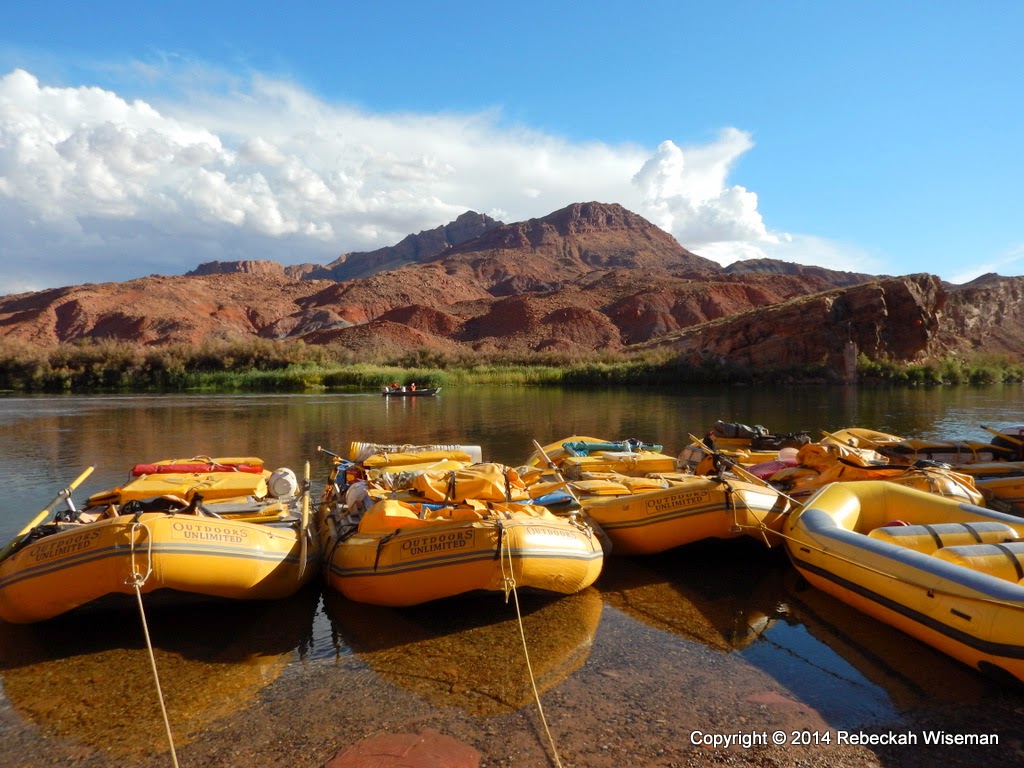 kinexxions: Grand Canyon Raft Trip