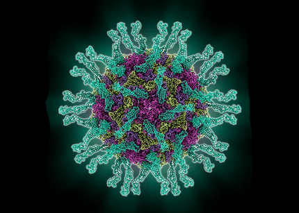 Peranan Virus Dalam Kehidupan Manusia yang Menguntungkan dan Merugikan ...