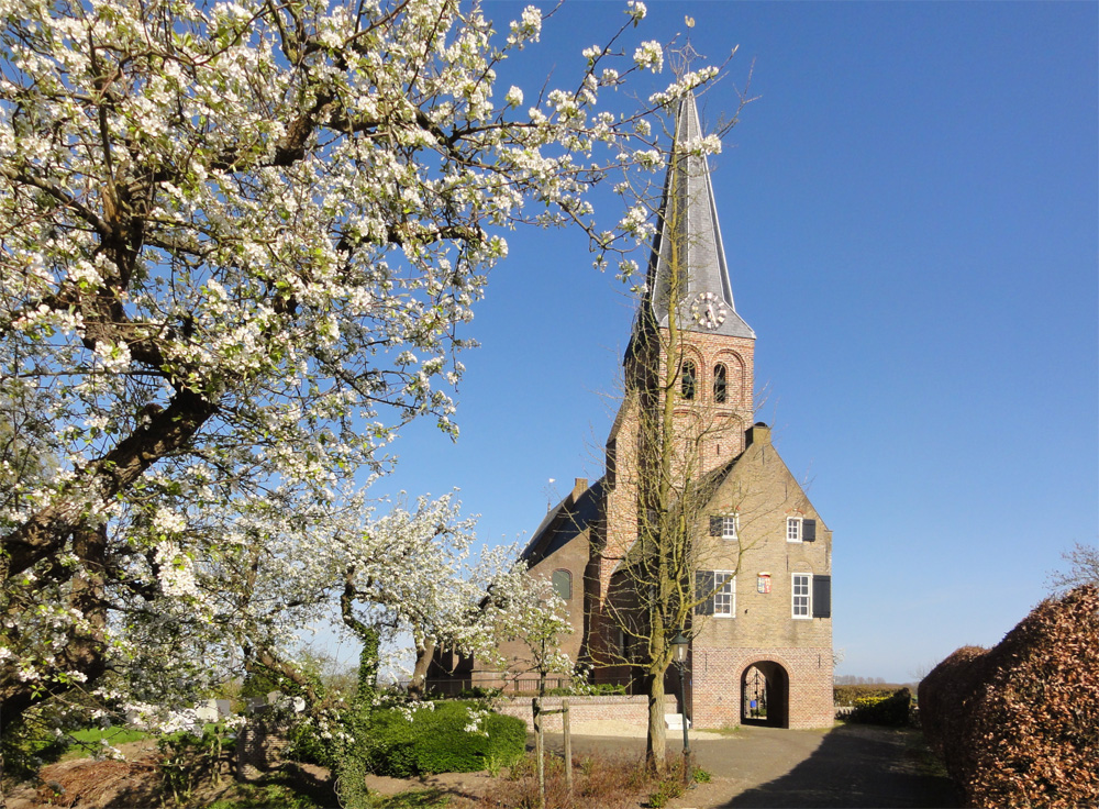 Wandelblog Joop van der perk: Uitbundige bloeiende boomgaarden en het ...