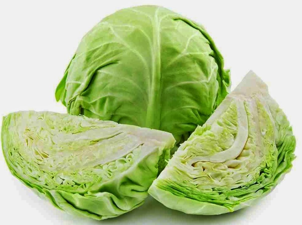 MANFAAT SAYUR KOL UNTUK KESEHATAN TUBUH | Hidup Sehat Tanpa Nikotin dan ...