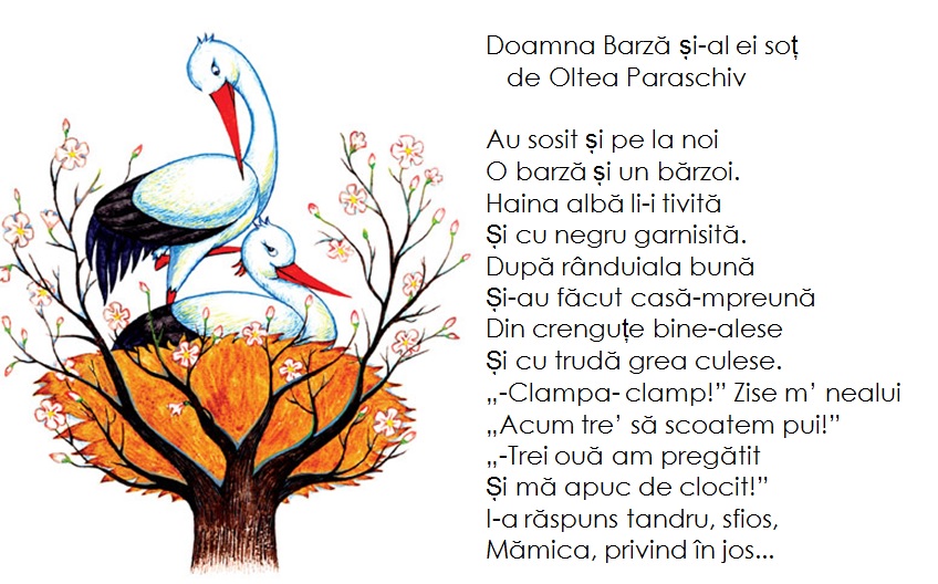 Doamna Fagilor: Despre berze