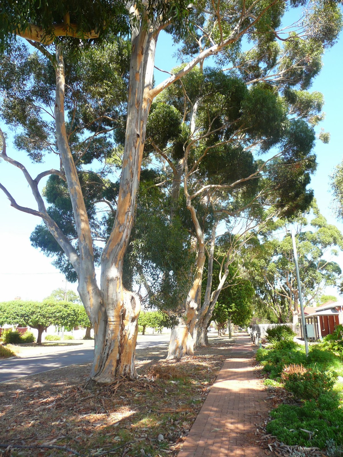 MobileMarshies: PERTH 9 - GUILDFORD (FEBRUARY 2014)