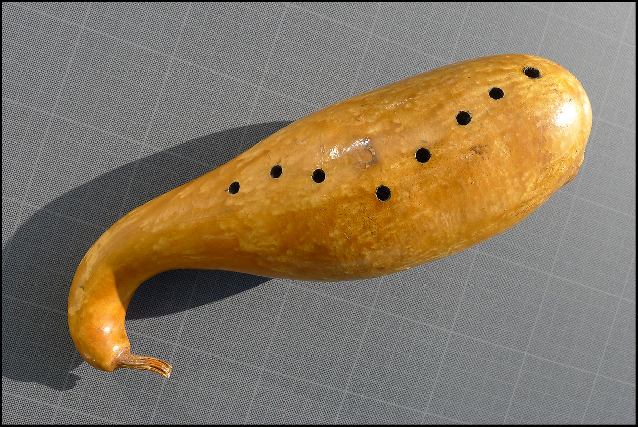 noseflute.org: Theatrical contraption : the nose whistle gourd