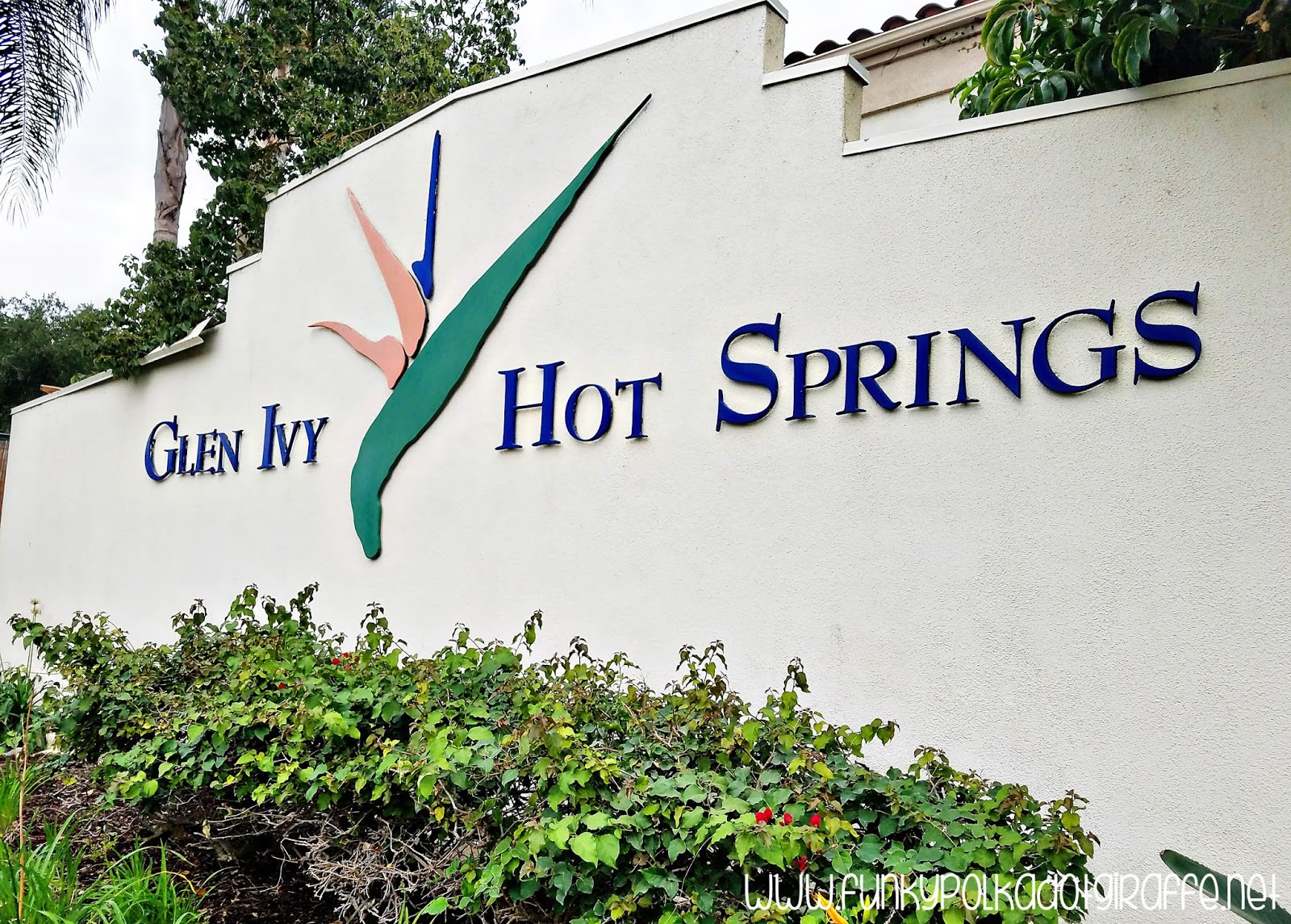 Funky Polkadot Giraffe: Celebrate at Glen Ivy Hot Springs + #GIVEAWAY