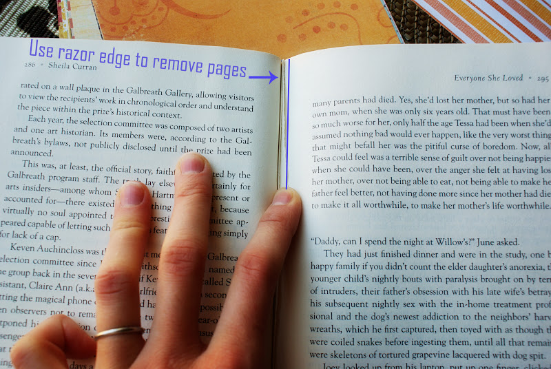 Uno, Dos, Très Chic: The Scrapped Book