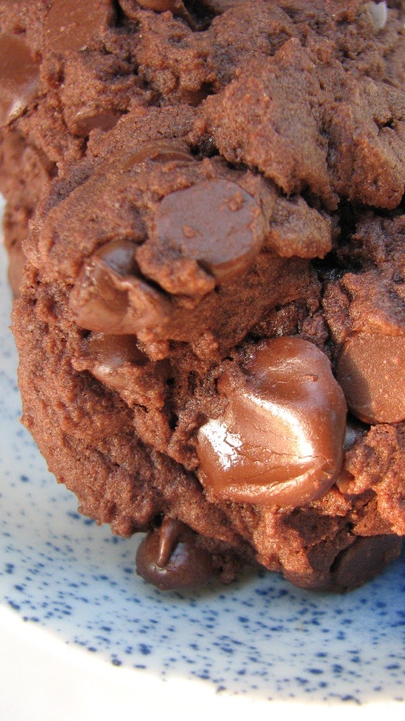 Heidi Bakes: Chocolate Chocolate Chip Pudding Cookies