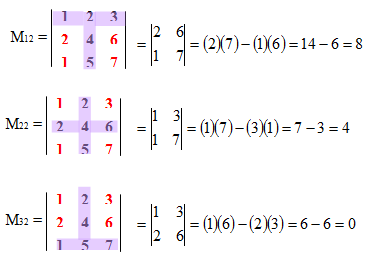 algebra lineal: MENOR Y COFACTOR