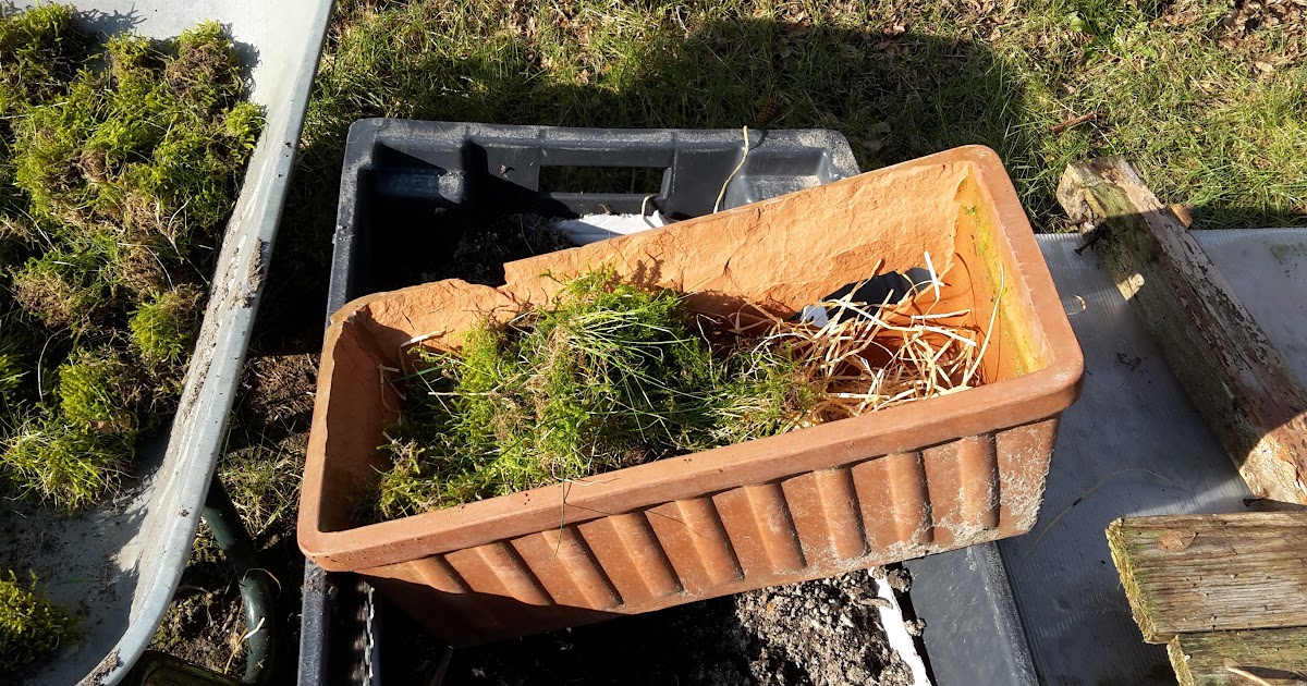 Familienalltagsweblog: Hummelnest