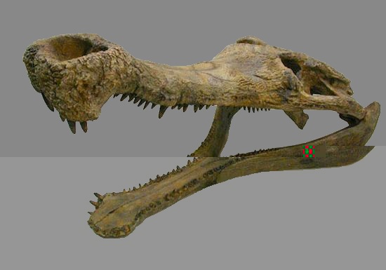 Legend Animals: SARCOSUCHUS