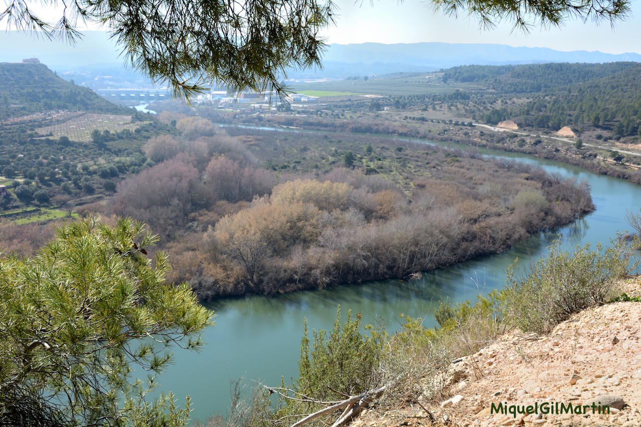 Mirades: Pel meandre del Riu Ebre a Flix