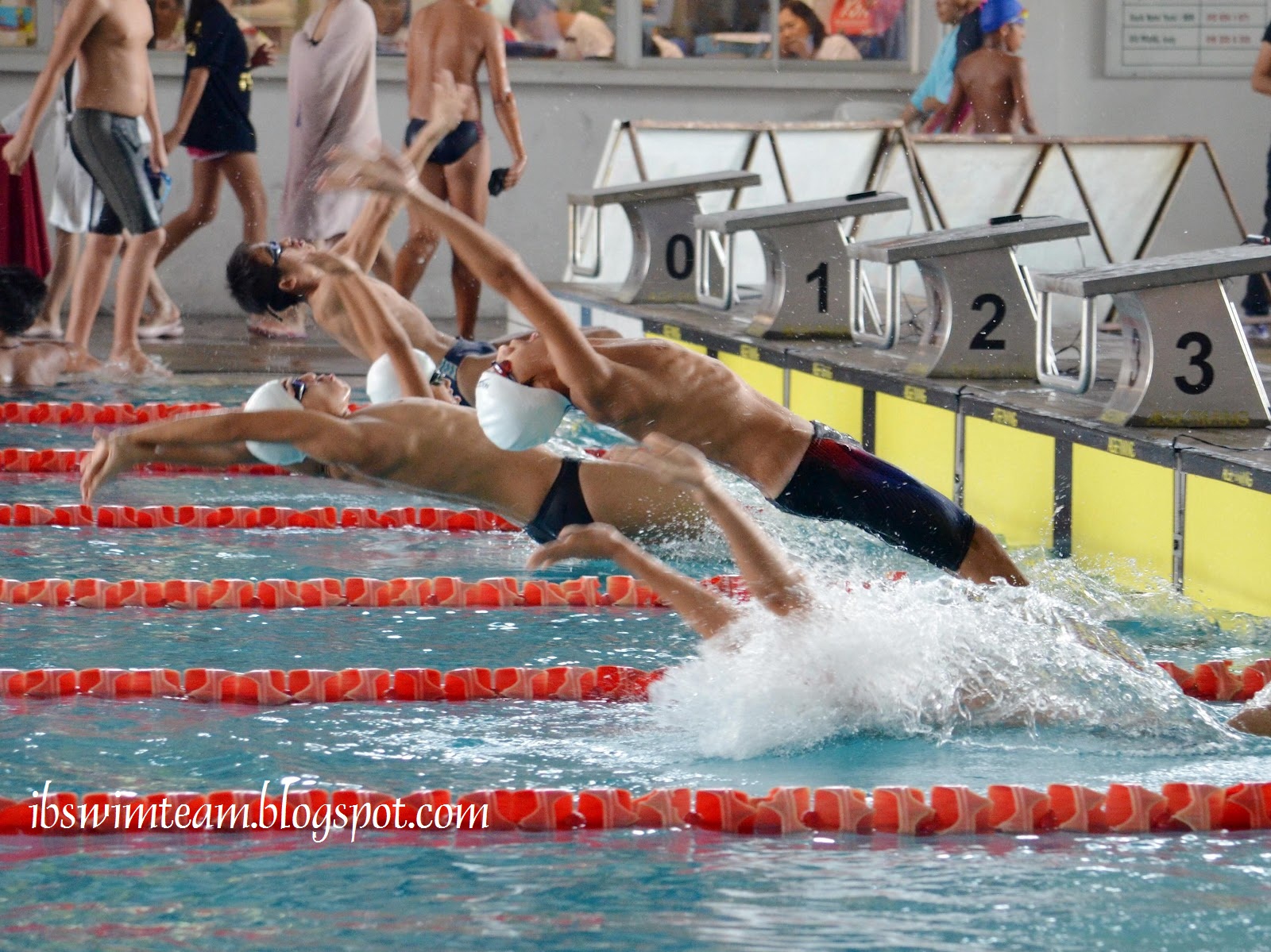 Ikan Bilis Swimming Club (1971) KL: IBSC swimmers top qualifying list ...