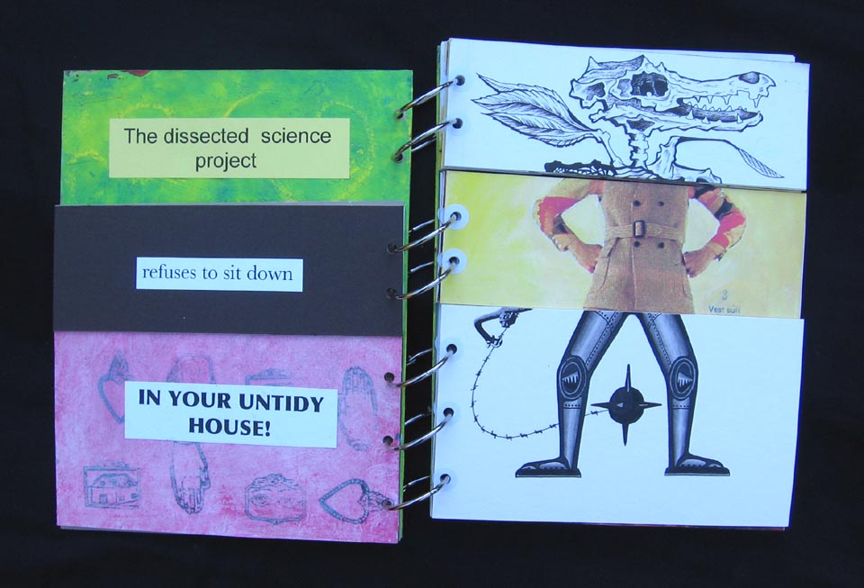 Collaborative Spirit