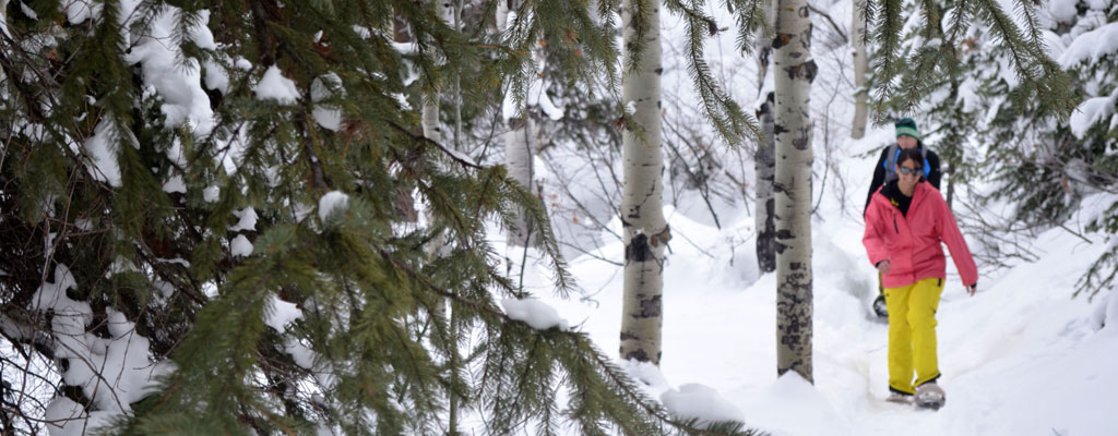 Fairfield Inn and Suites Steamboat Springs: HIKE THROUGH A WINTER ...