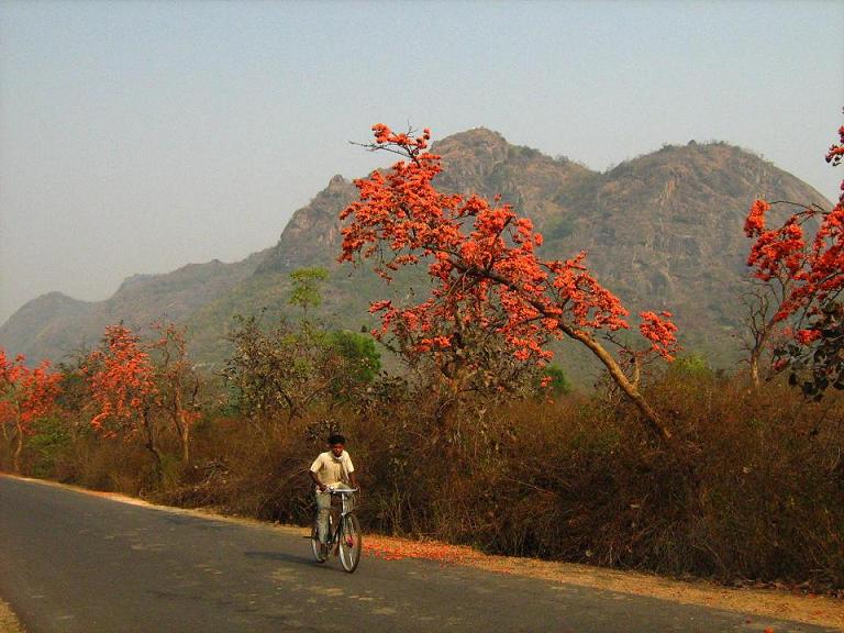 BARANTI PALASHBARI ( পলাশবাড়ি )