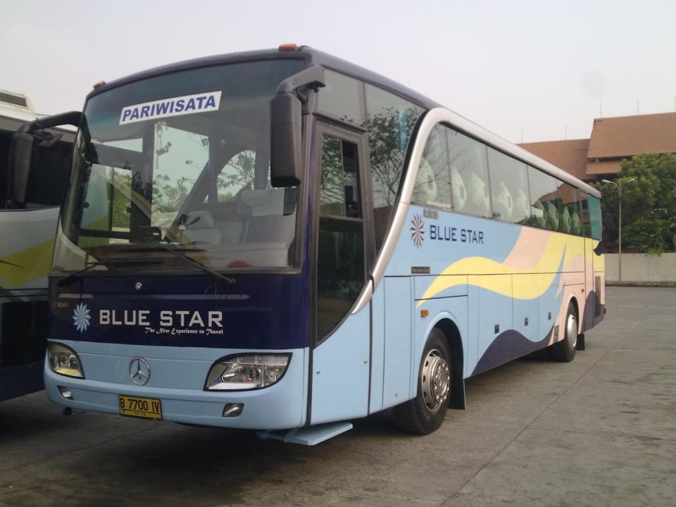 AVITA HOLIDAY JAKARTA: PO. Blue Star