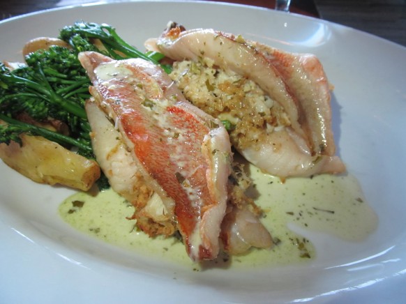 ACADIAN REDFISH ~ Everything About Fish