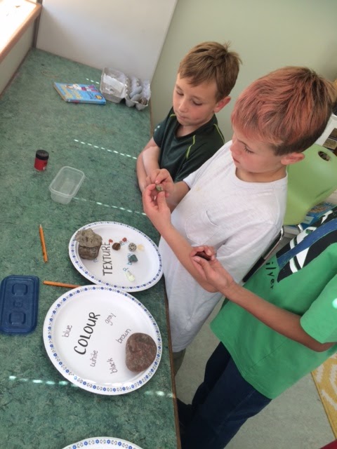 Mrs. Squire's Classroom: Sorting Rocks