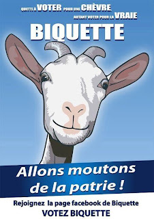 NOS PETITS FRERES LES ANIMAUX: Votez Biquette 2012