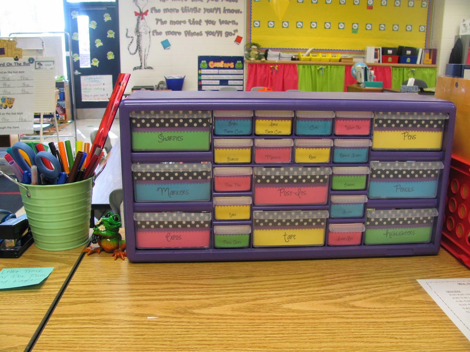 The Teacher and the Frog: Classroom Tour