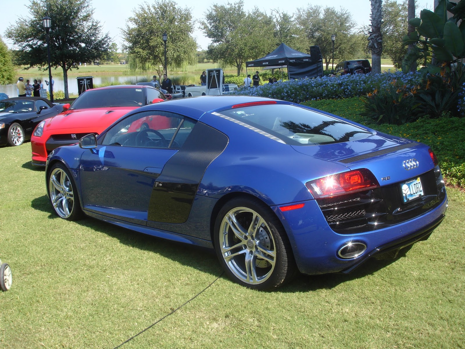 Justin Culmo Photos.