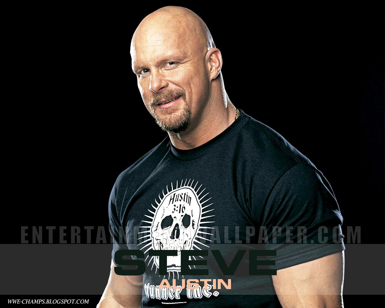 WWE CHAMPS: STONE COLD STEVE AUSTIN 'WHAT?'