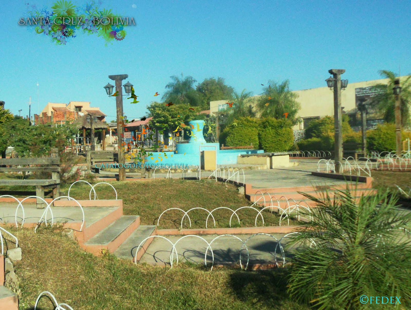 Catalogo de fotos Bolivia: Fotos: Puerto Quijarro Santa Cruz Bolivia
