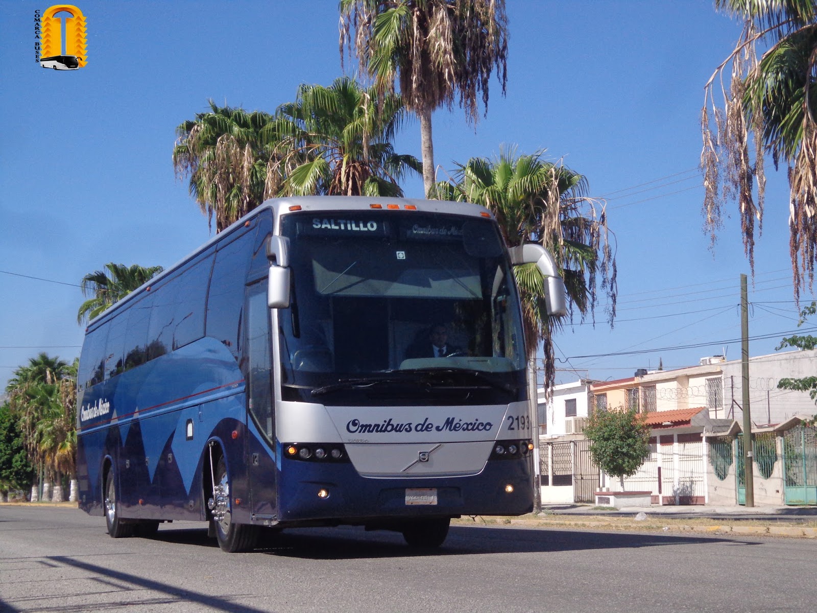 Comarca Buses: Omnibus de México.