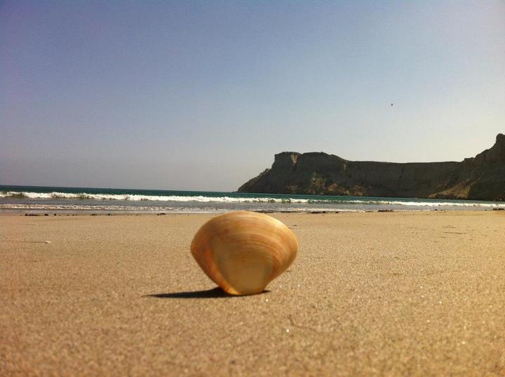 Pakistan installs its first artificial reefs in the coastal area of ...