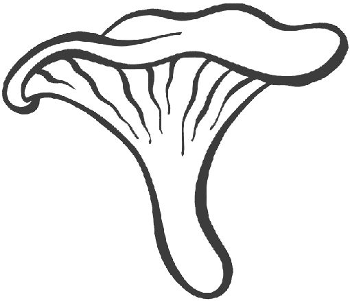 Setas Pintar Malvorlage Pilz Dibujo Seta Hongos Fungo Dibujar Pilze ...